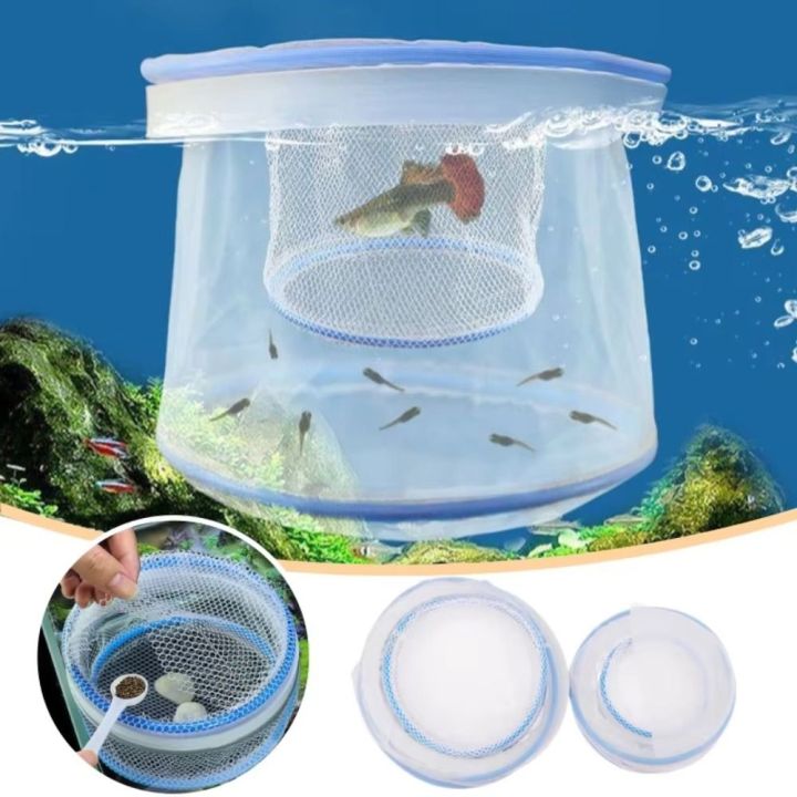 New Multiple sizes Aquarium Fish Isolation Box Breathable Fishproof ...
