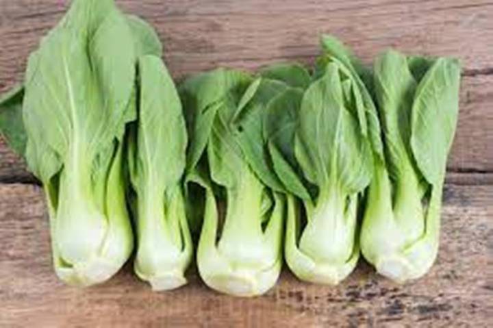 Packchoy Green (20grams) | Daraz.com.np