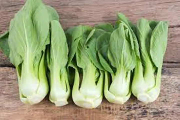 Packchoy Green (20grams) | Daraz.com.np