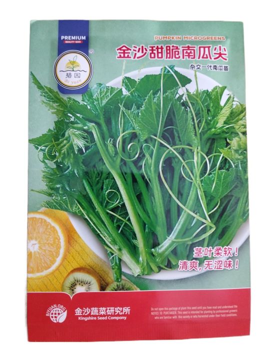 Hybrid Pumpkin ( Munta Khane Pharsi) Vegetable Seed 10 Gm Weight ...