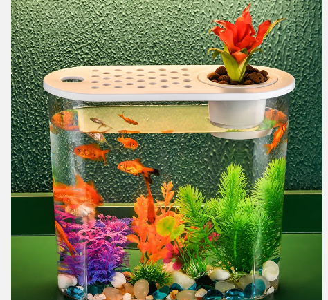 Plastic Transparent Small Fish Tank Aquarium | Daraz.com.np