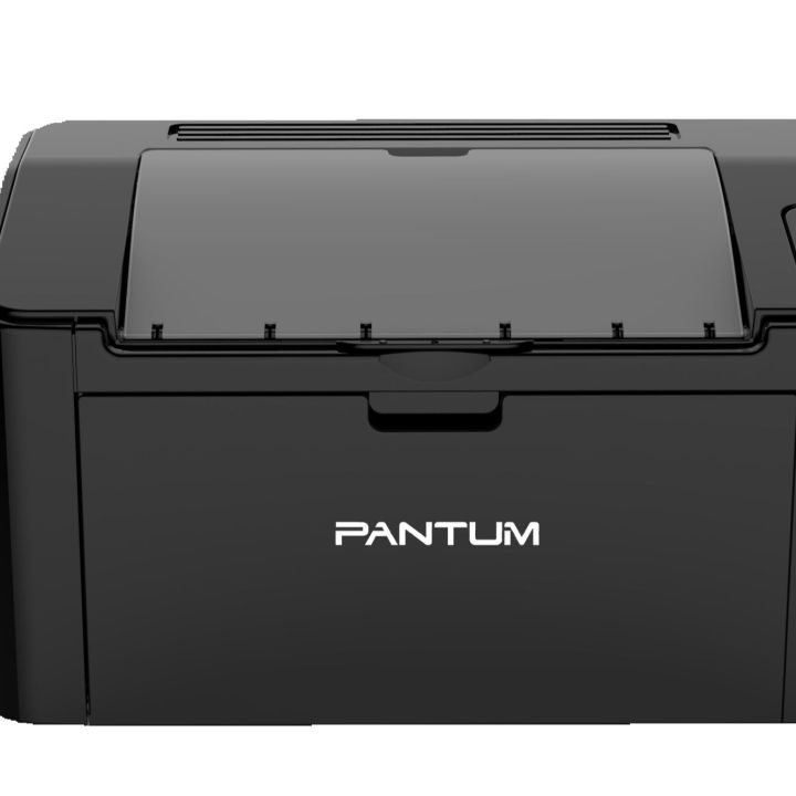 Pantum P2509 Monochrome Laser Processor Single Function Printer | Daraz ...