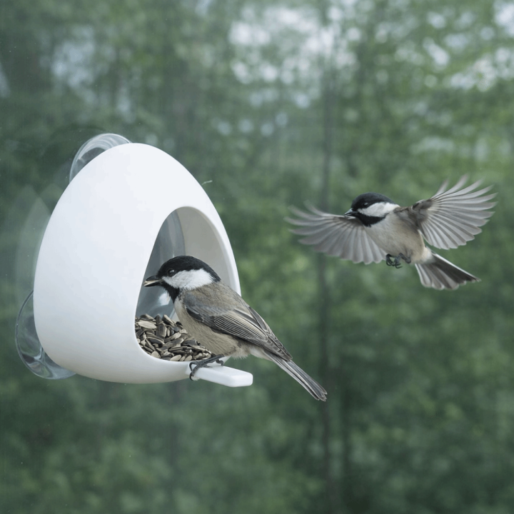 Hut Shape Suction Cup Window Bird Feeder Detachable Wall Mounted Bird ...