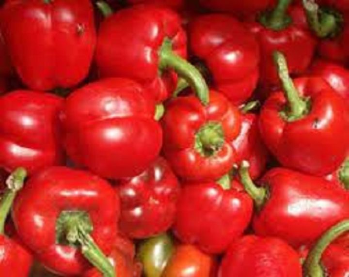 Mini Paprika Dwarf Small Bell Pepper 20 Seeds Mixed Color For Garden ...