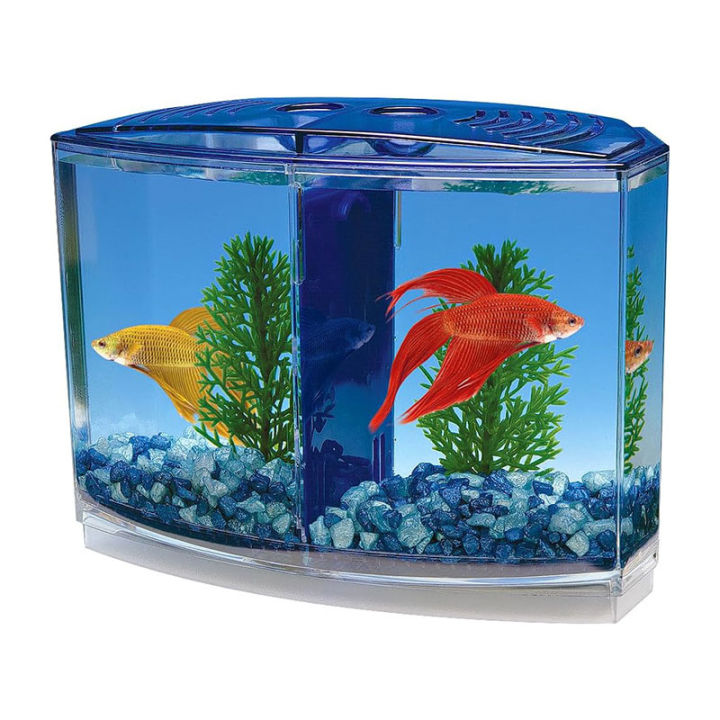 Large Double Compartment Fighting Fish Box Eco Rumble Fish Aquarium ...