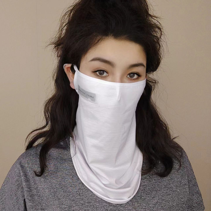 Sunscreen Mask 3D Animal Cat Summer Full Face Neck Guard All-In-One ...