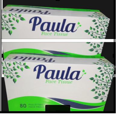 Paula Face Tissue 80 Pulls Two Ply Pack Of 2 | Daraz.com.np