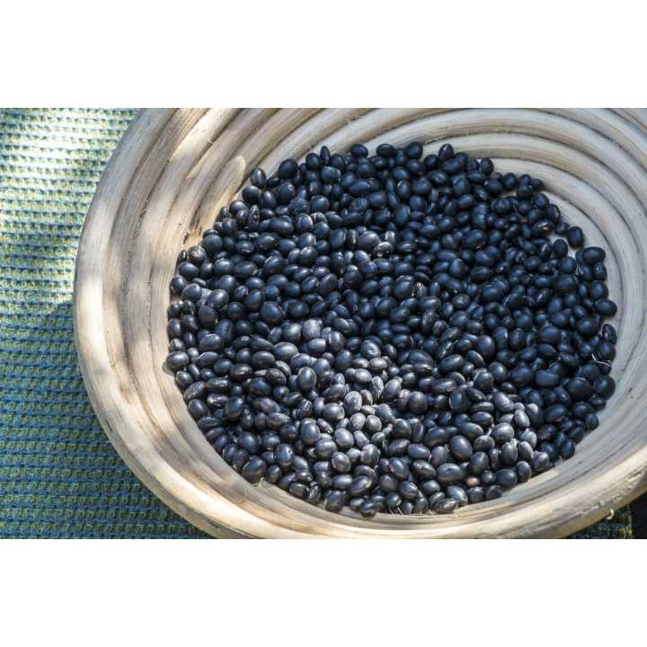 Best Quality Black Soyabean Nepali Kalo Bhatmas 500g | Daraz.com.np