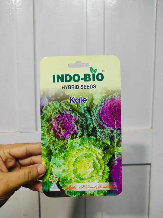 1 Packet Of Kale Seeds – Nutritious, Easy-to-Grow Superfood for Year ...