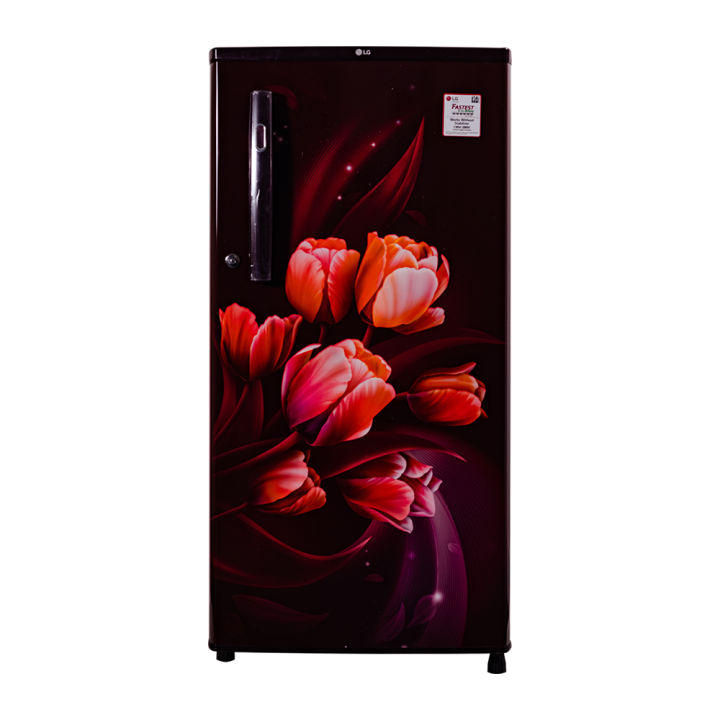 LG 190 Liter Single Door Refrigerator - GLB204OSTC.ASTQ | Daraz.com.np
