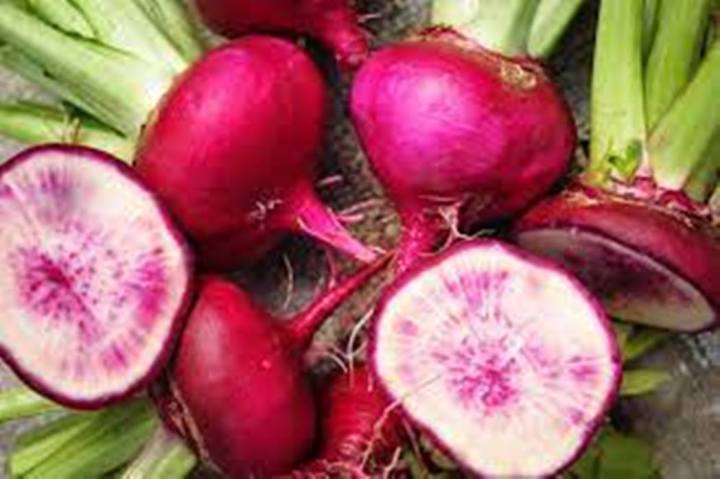 1 Packet Red Turnip Seeds 10 Gram Salagam Seeds | Daraz.com.np