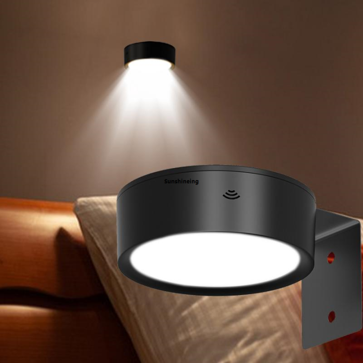 2pcs Lights LED Magnetic Art Display Operated Dimmable Painting ...