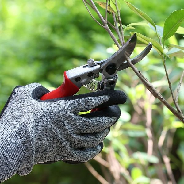 Garden Scissors, SK-5 Steel 8 Professional Sharp Bypass Pruning Shears ...