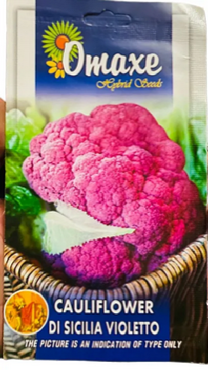 Vegetable Seed - 1 Packet CAULIFLOWER DI SICILLA VIOLETTO Omaxe Seeds ...