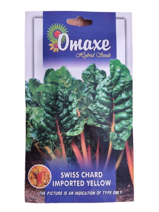 Hybrid Swiss Chard Imported Yellow Vegetable Seed 30 Seeds सु-साग ...