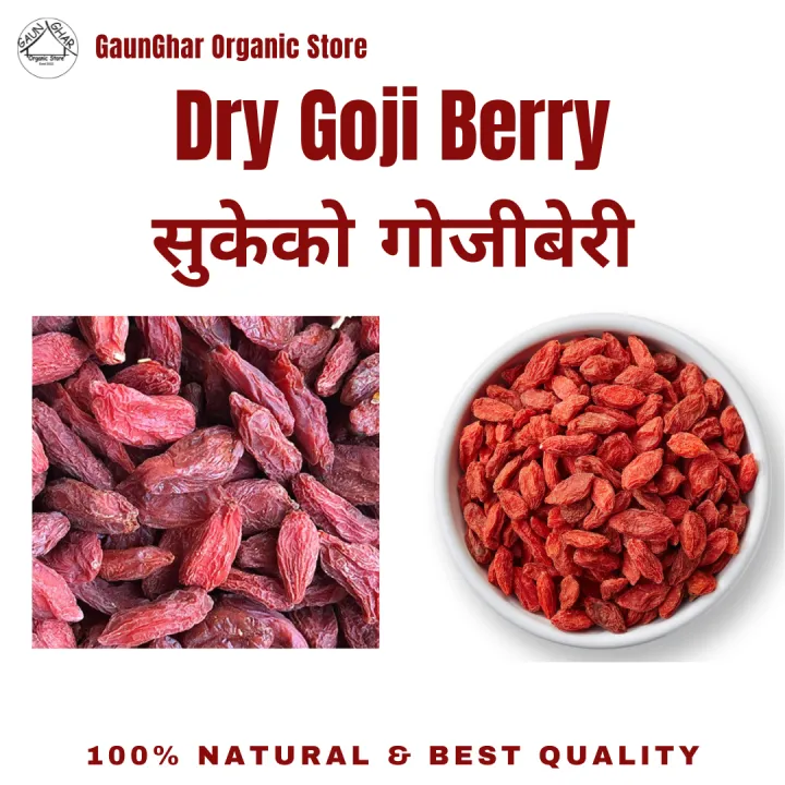 Dried Goji Berry Pouch Pack 100 gm | Daraz.com.np
