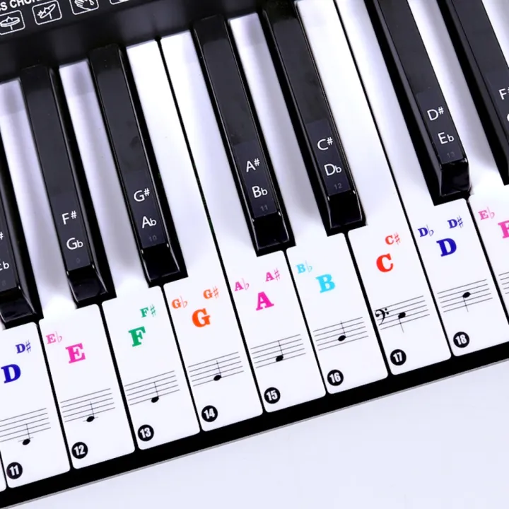 Beginners 88/61/54/49 Key Piano Keyboard Stickers Transparent Self ...