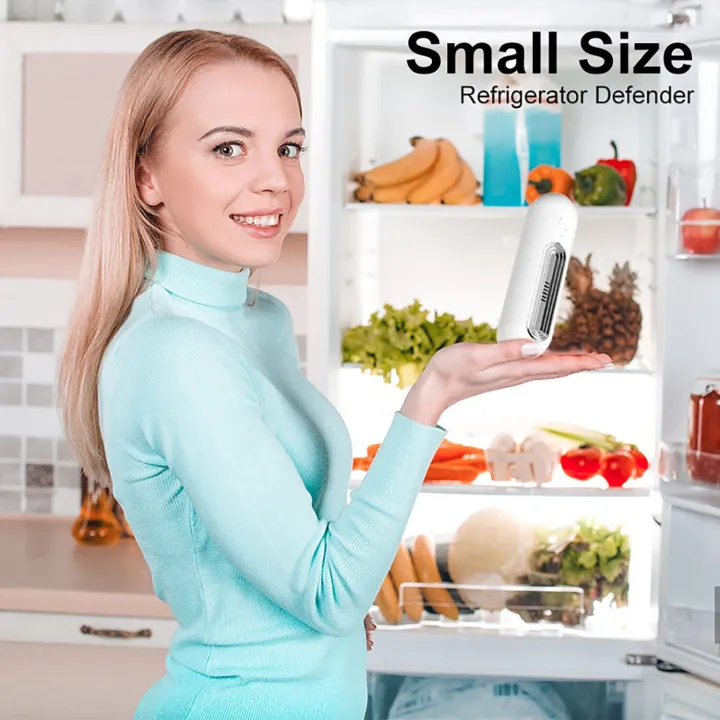 Portable Air Freshener Refrigerator Deodorizer Rechargeable Air ...