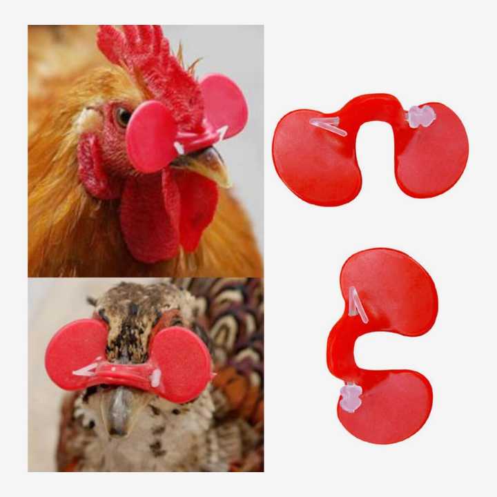 Bird Blinder 10 Pcs | Daraz.com.np