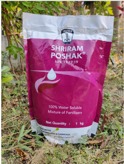 Balanced Water Soluble NPK 19-19-19 | 1 kg Pack All-Purpose Plant ...