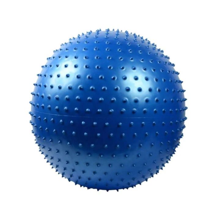 Anti- Burst Gym Balls 85 cm Exercise Ball Gym Ball with Hand Pump ...