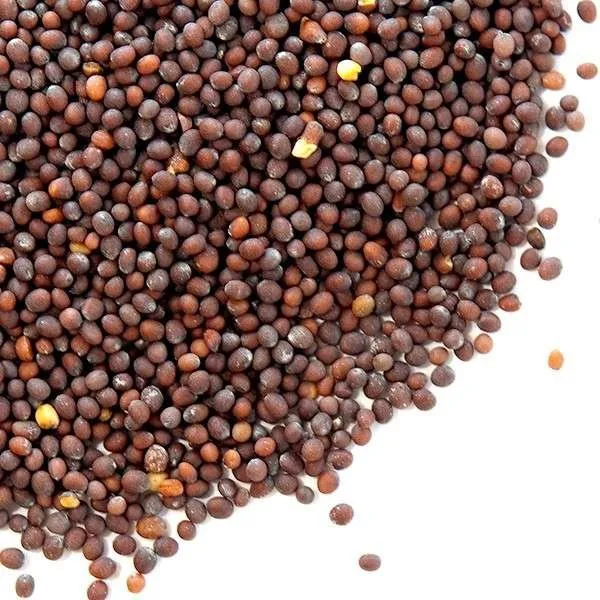 Black Mustard Seed Rayo - 500 Gm | Daraz.com.np