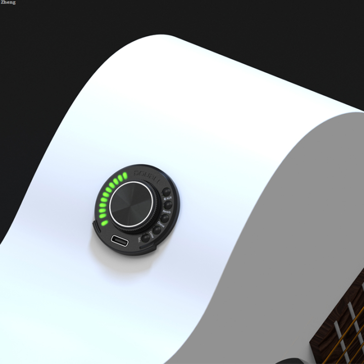 Zheng Pickups, resonances, digitally controlled microphones, effects ...