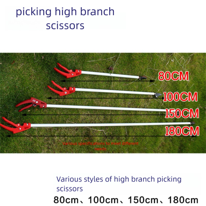 Pruning Shears for Fruit Trees High Branches Curved Head High Altitude ...