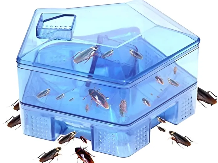 Praxon Household Effective Cockroach Traps Box Cockroach Bug Roach ...