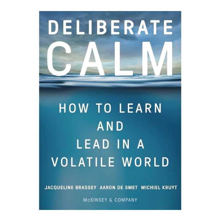 Deliberate Calm - Jacqueline Brassey, Aaron De Smet And Michiel Kruyt ...