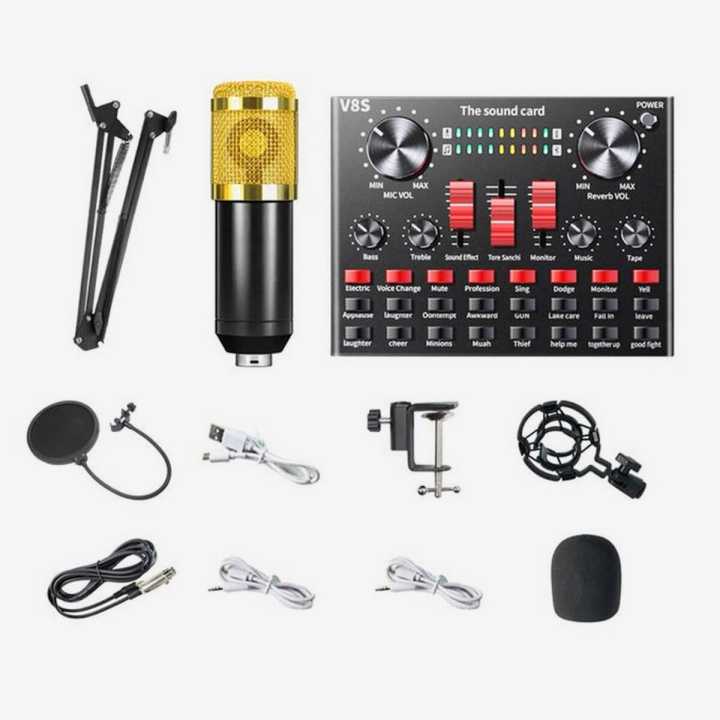 Bm800 Professional Studio Condenser Microphone with V8s Sound Card ...