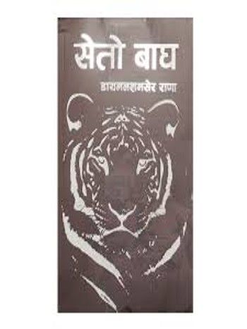 Seto Bagh | Best Nepali Novel | Daraz.com.np