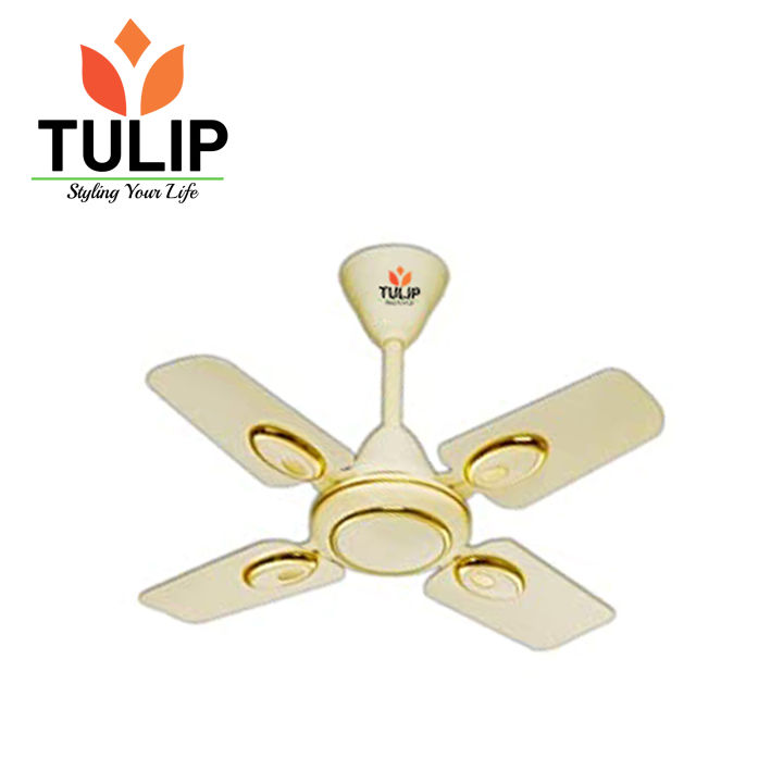 Tulip Ceiling Fan - DELUX 24 Inch | Daraz.com.np