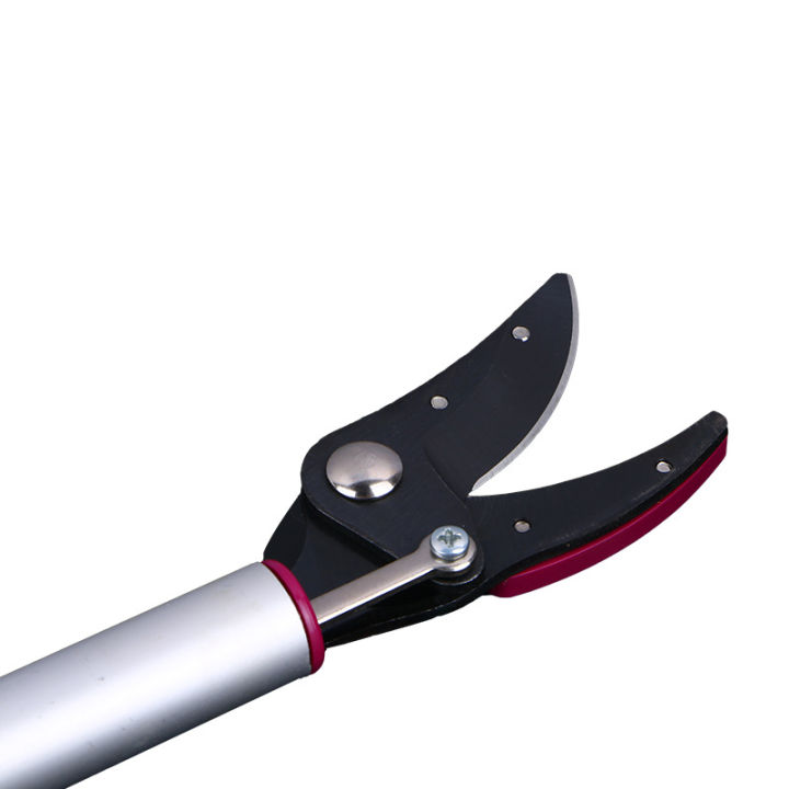 Pruning Shears for Fruit Trees High Branches Curved Head High Altitude ...