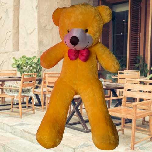 Premium Korean Teddy bear toy | Daraz.com.np