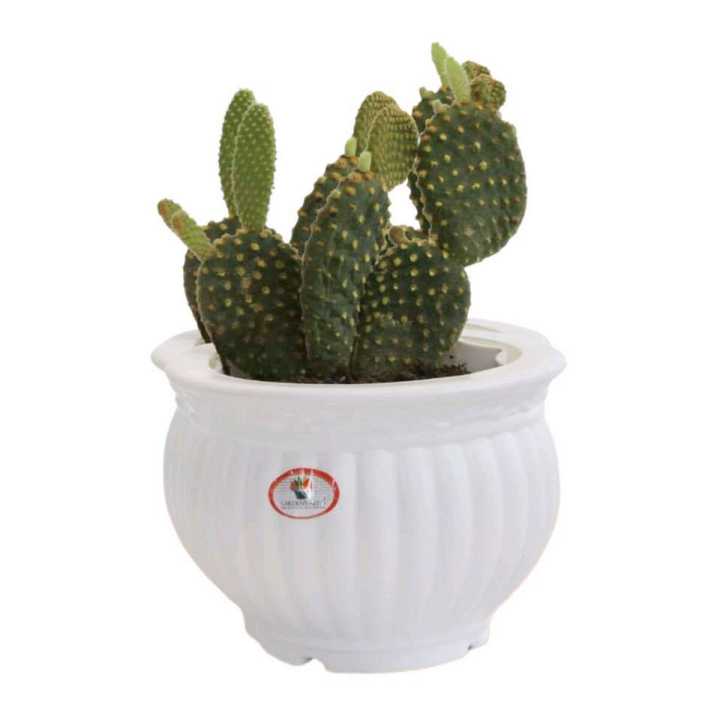 Kanha Matki Plastis Flower Pot 5 inch For Indoor Outdoor Gardening ...