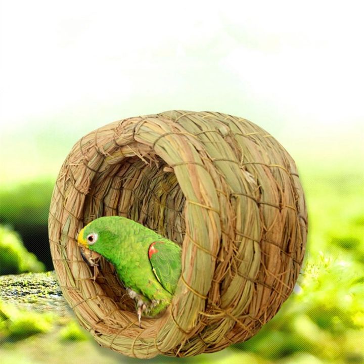 Parrot Parrot Pet Bedroom Hamster Pet Supplies Cages Accessories ...