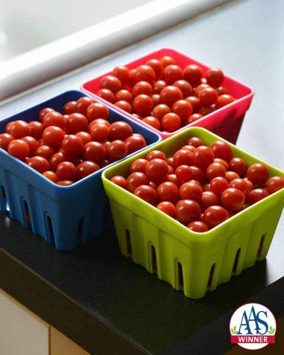 Candyland Red Cherry Tomato Seeds 5 Plus (Loose Pack) | Daraz.com.np
