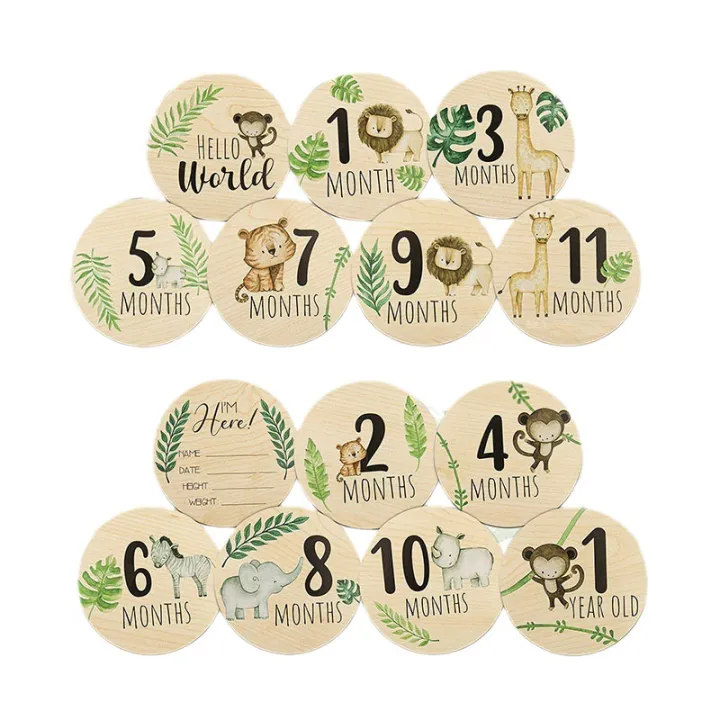 1 Set of 7 Wooden Baby Monthly Milestone Cards Wooden Welcome Newborn ...