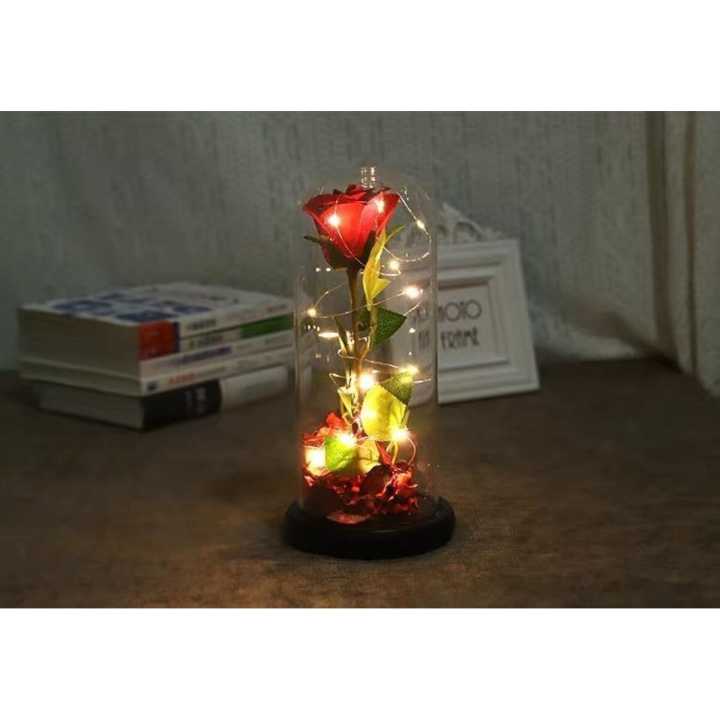 Dry Rose Flower Light | Daraz.com.np