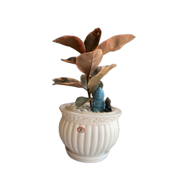 Kanha Matki 8 Inch Flower Pot / Planter ( With Plate ) For Indoor ...