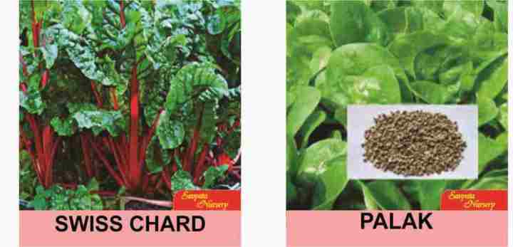 Baramase - All Time All Seasons Combo Of Swiss Chard And Palungo For ...