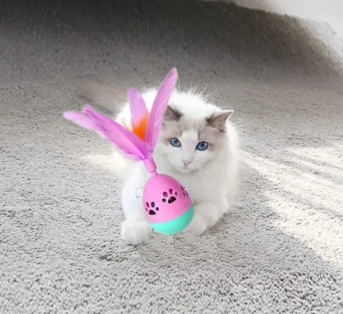 Cat Toy | Interactive Rolly-Polly Tumble with Feather & Treat Dispenser ...