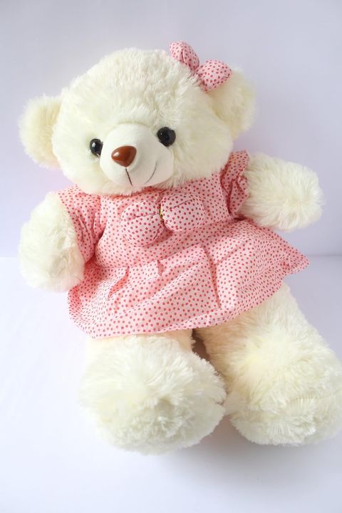 Cute Lovable Teddy Bear Girl Wearing A Beautiful Frock Stuffed Soft ...
