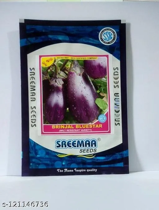 Premium Quality Eggplant Seeds – 10 Grams | High Germination Rate ...