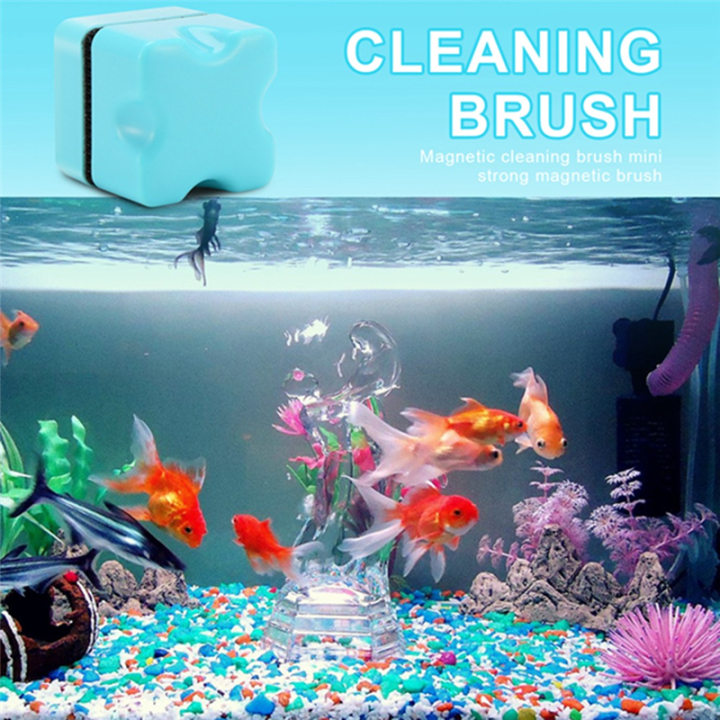 Aquarium Magnetic Brush Glass Floating Algae Scraper Curve Glass ...