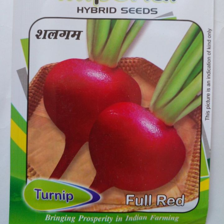 Vegetable Seeds - 1 Packet Red Turnip Seeds 10 Gram Salagam Seeds ...