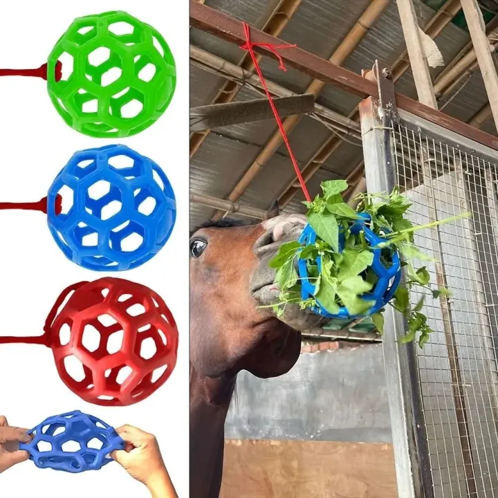 Multipurpose TPR Horse Treat Ball 5.5inch Red/Blue/Green Hanging ...