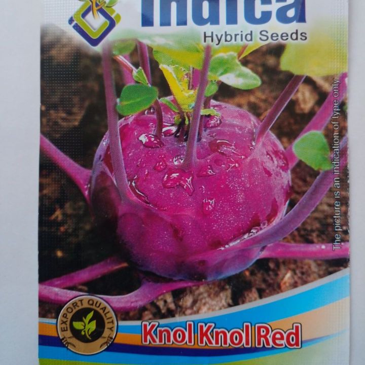 Vegetable Seeds- 1 Packet Knol Khol Purple Seeds (Kohlrabi/Noolkol ...