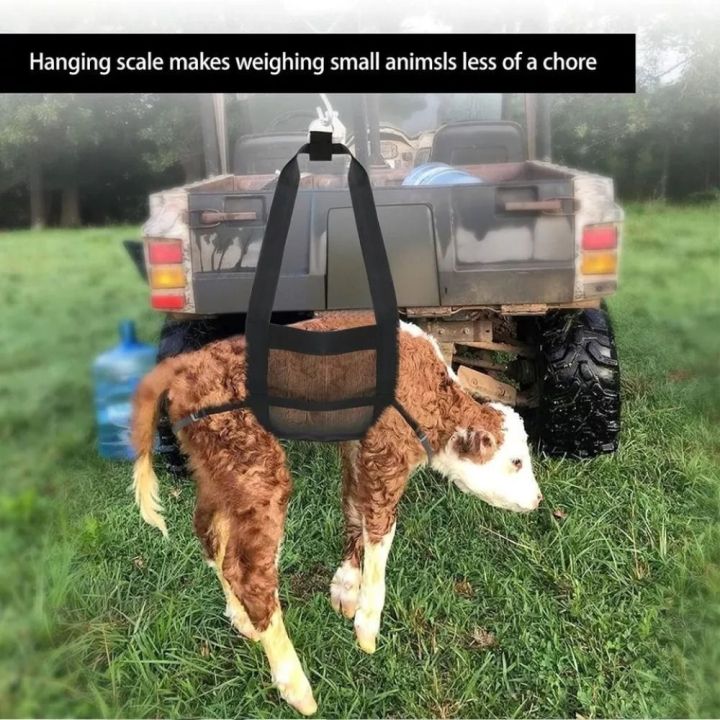 Calf Sling Foldable Weight Scale Sling with Adjustable Straps Hanging ...